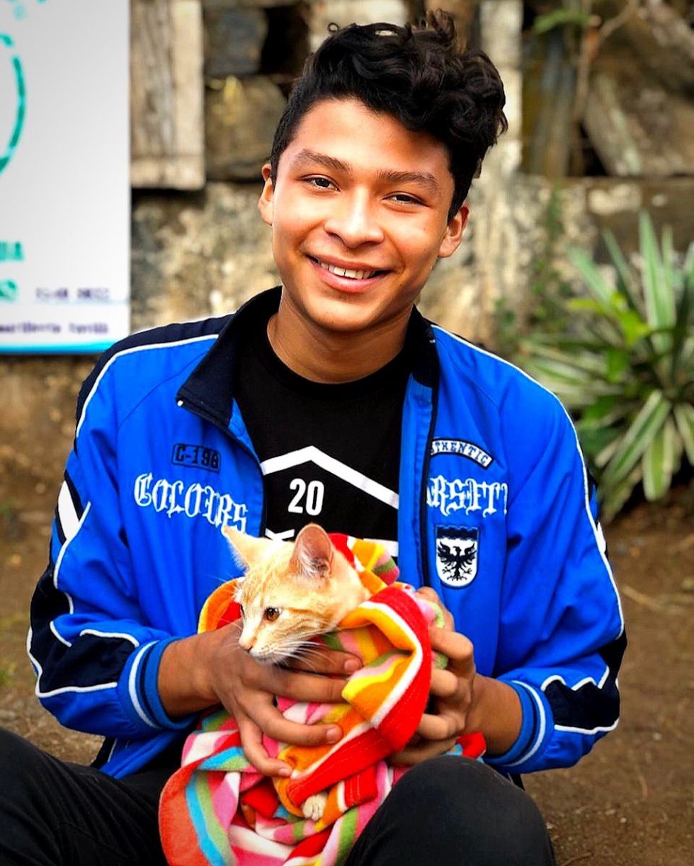 Spay, Neuter & Veterinary Care Program | Global Strays